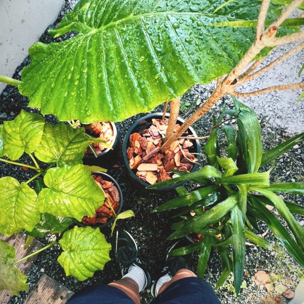 plants | WORKS | MIYAGAKI KENSETSU